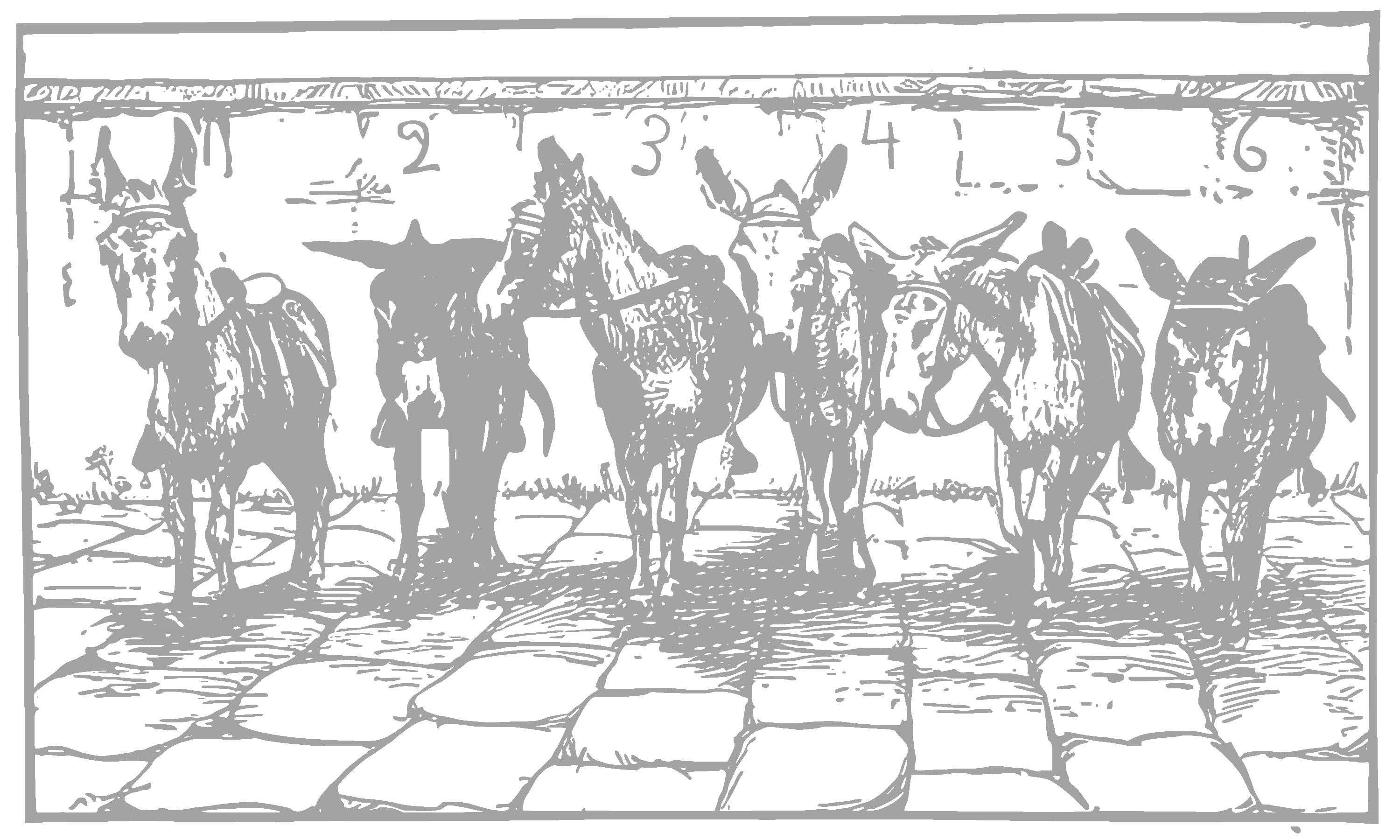 Donkeys for Coloring Vintage Digital Bundle Download Hand Drawn ...