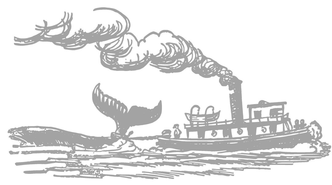 Cape Cod Activity Book: Vintage Hand-drawn Illustrations (digital ...