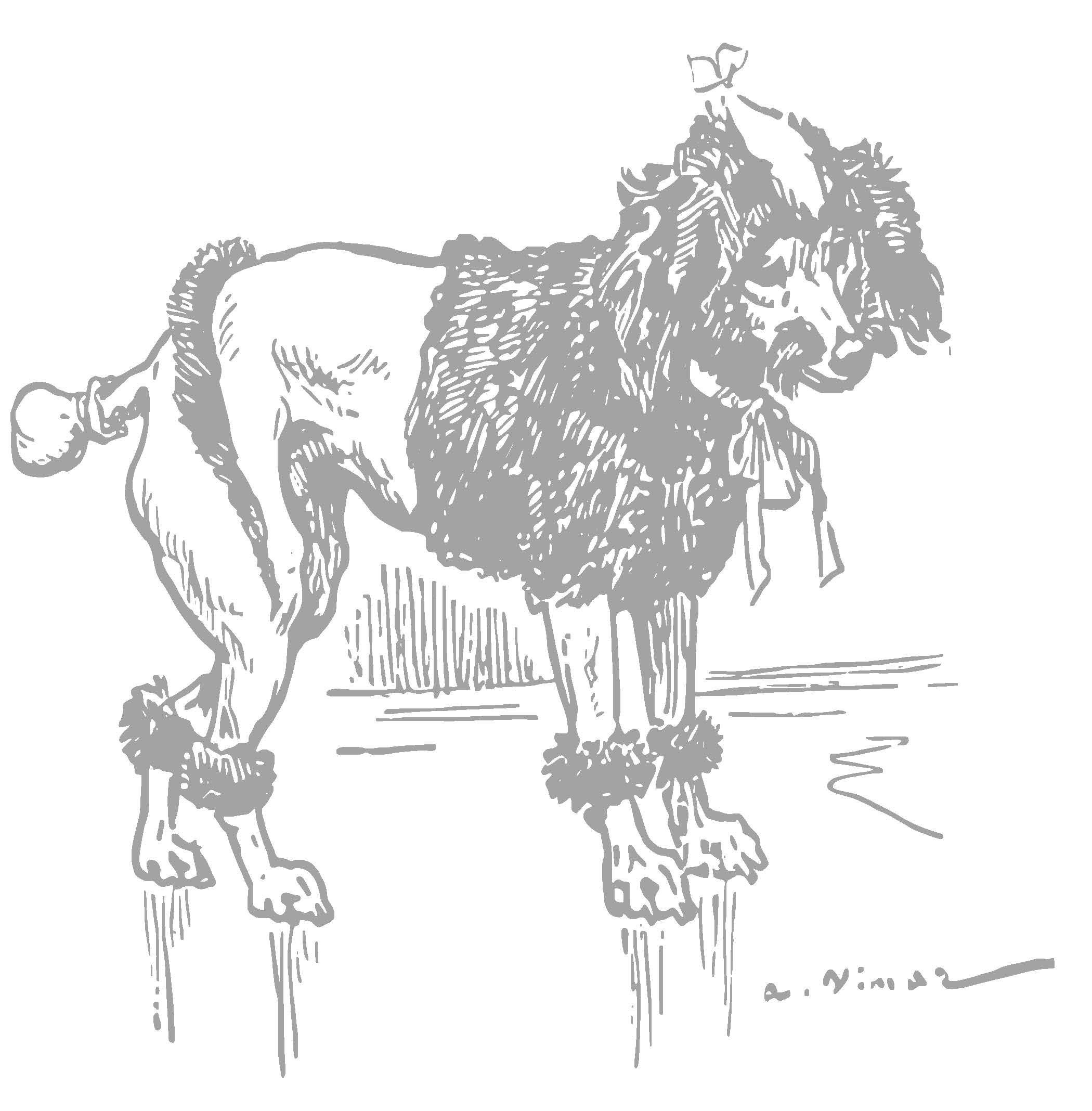 Circus Dogs for Coloring Vintage Digital Bundle Download Hand Drawn ...