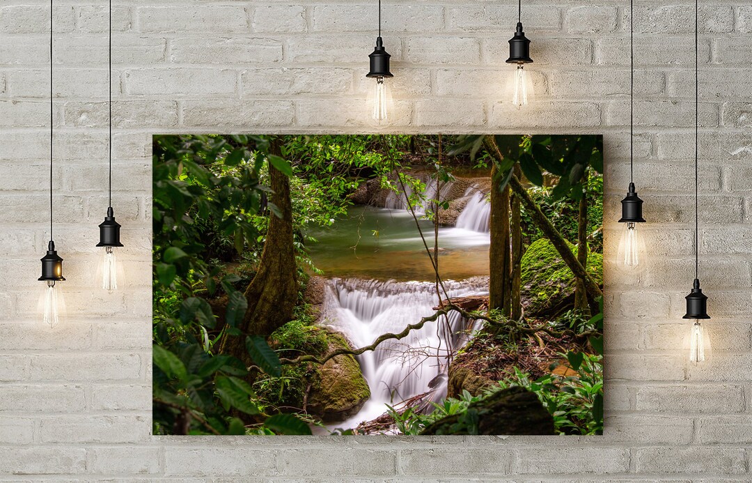 Beauty in the Jungle Canvas Gallery Wrap Photograph Picture Stretched ...