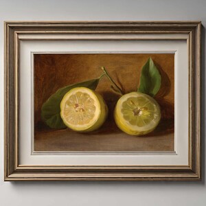 Vintage Lemon Still Life Artwork Digital Download - Single Image - Etsy