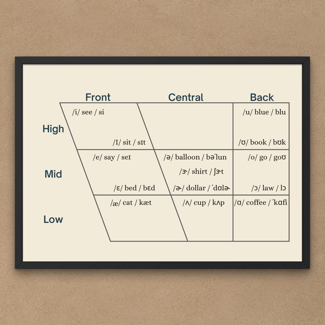 English Vowel Quadrilateral IPA Chart Poster | Linguistics Speech ...