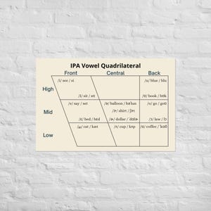 English Vowel Quadrilateral IPA Chart Poster | Linguistics Speech ...