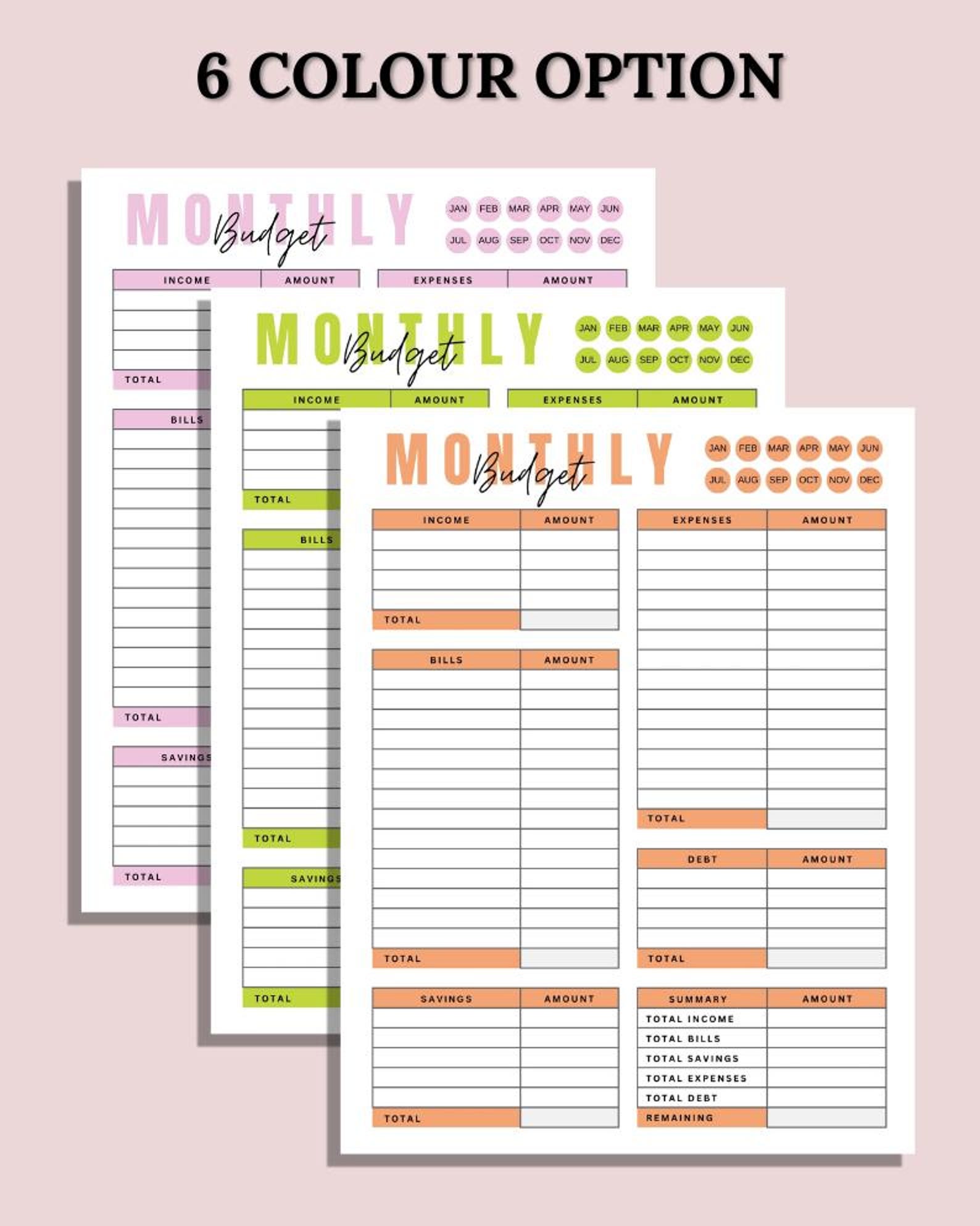 Monthly Budget Overview Template Printable, Printable Finance Tracker ...