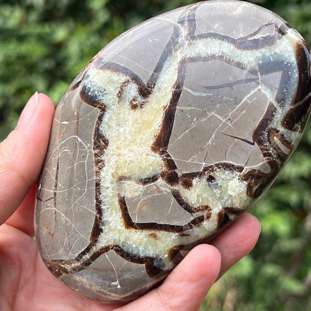 11 Cm Large Septarian Slab From Madagascar Mineral Specimen, Model 9 ...