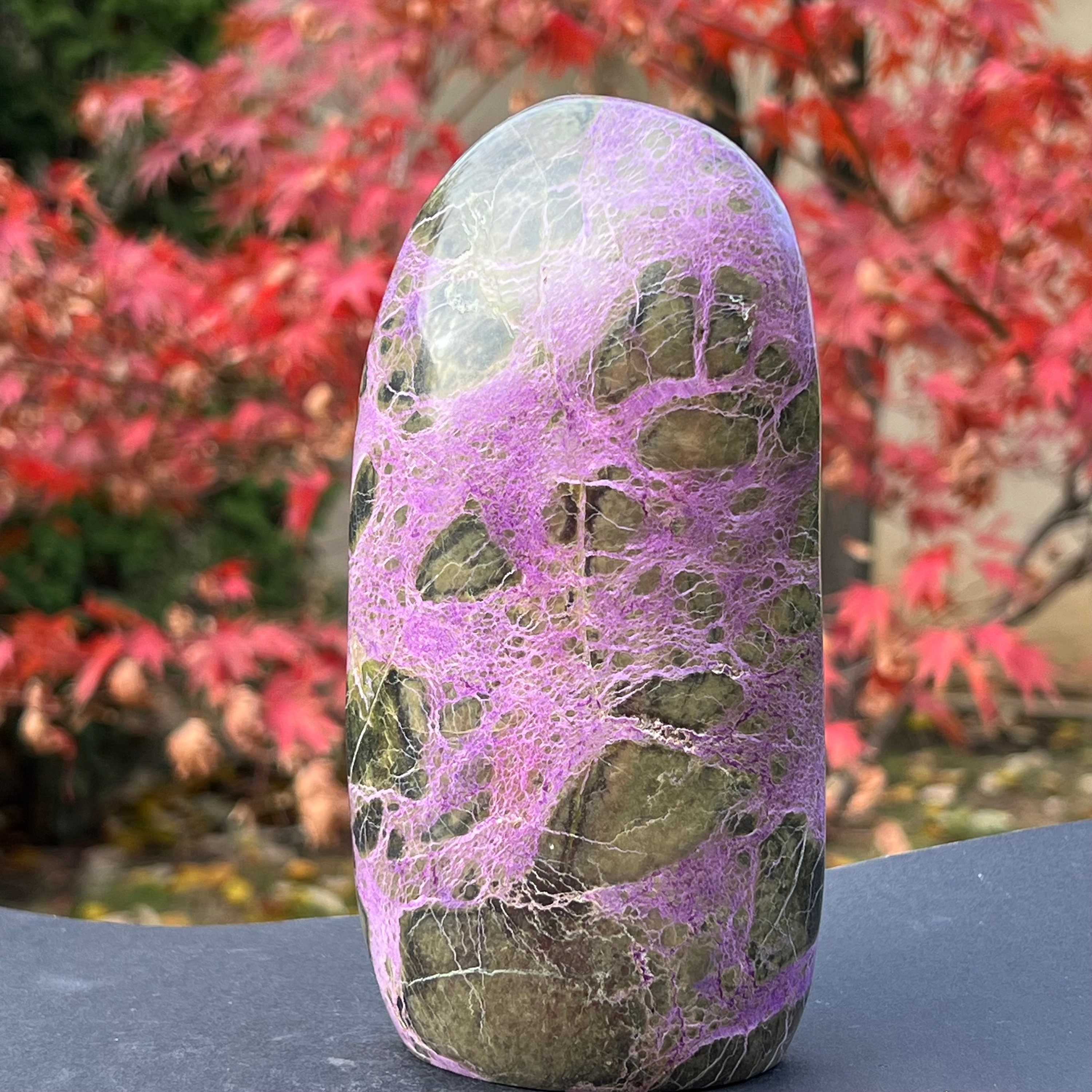 Extra Large Rare Stichtite Freeform From South Africa Model - Etsy