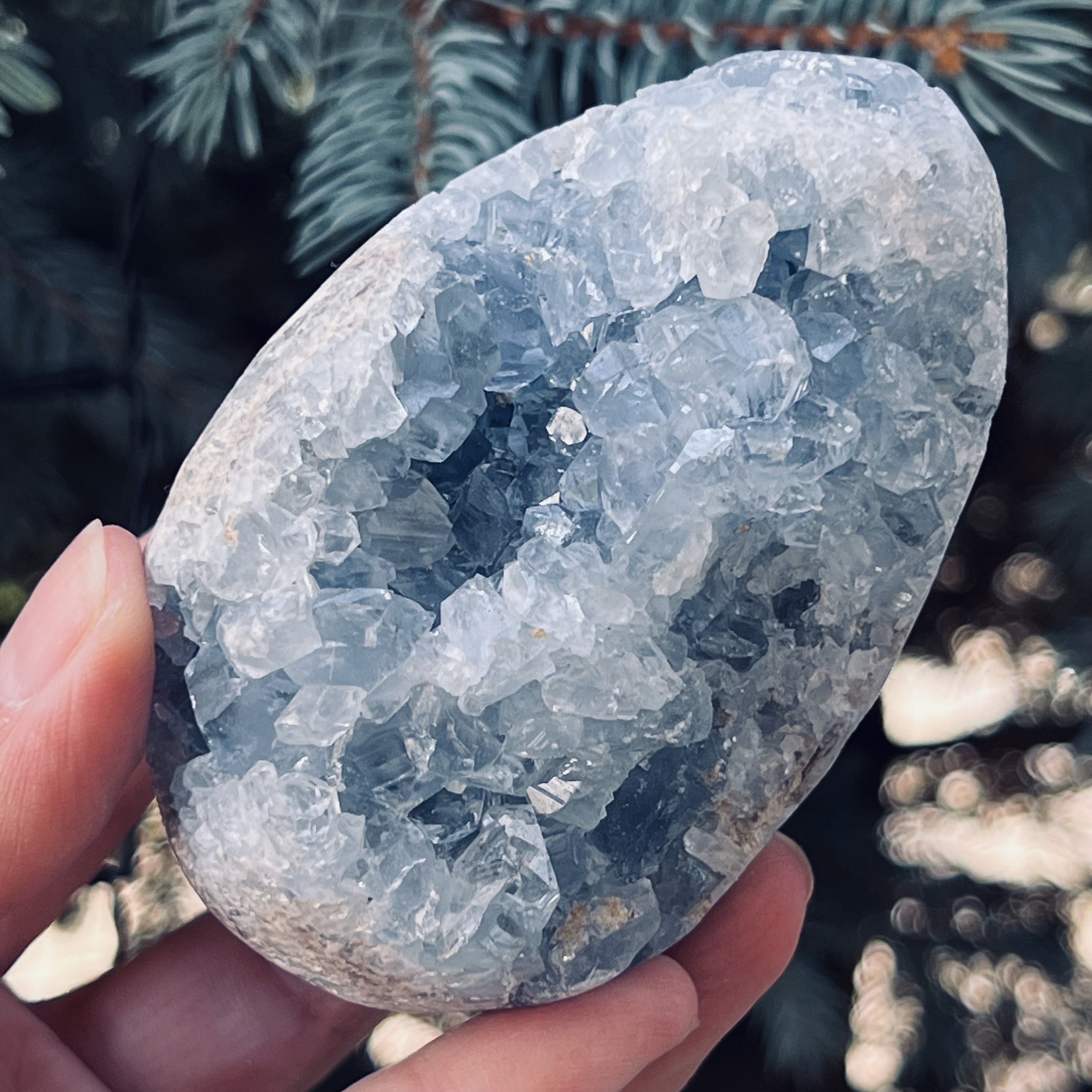 Celestine Celestit Quartz Egg Geoda Cluster madagascar Model 68 ...