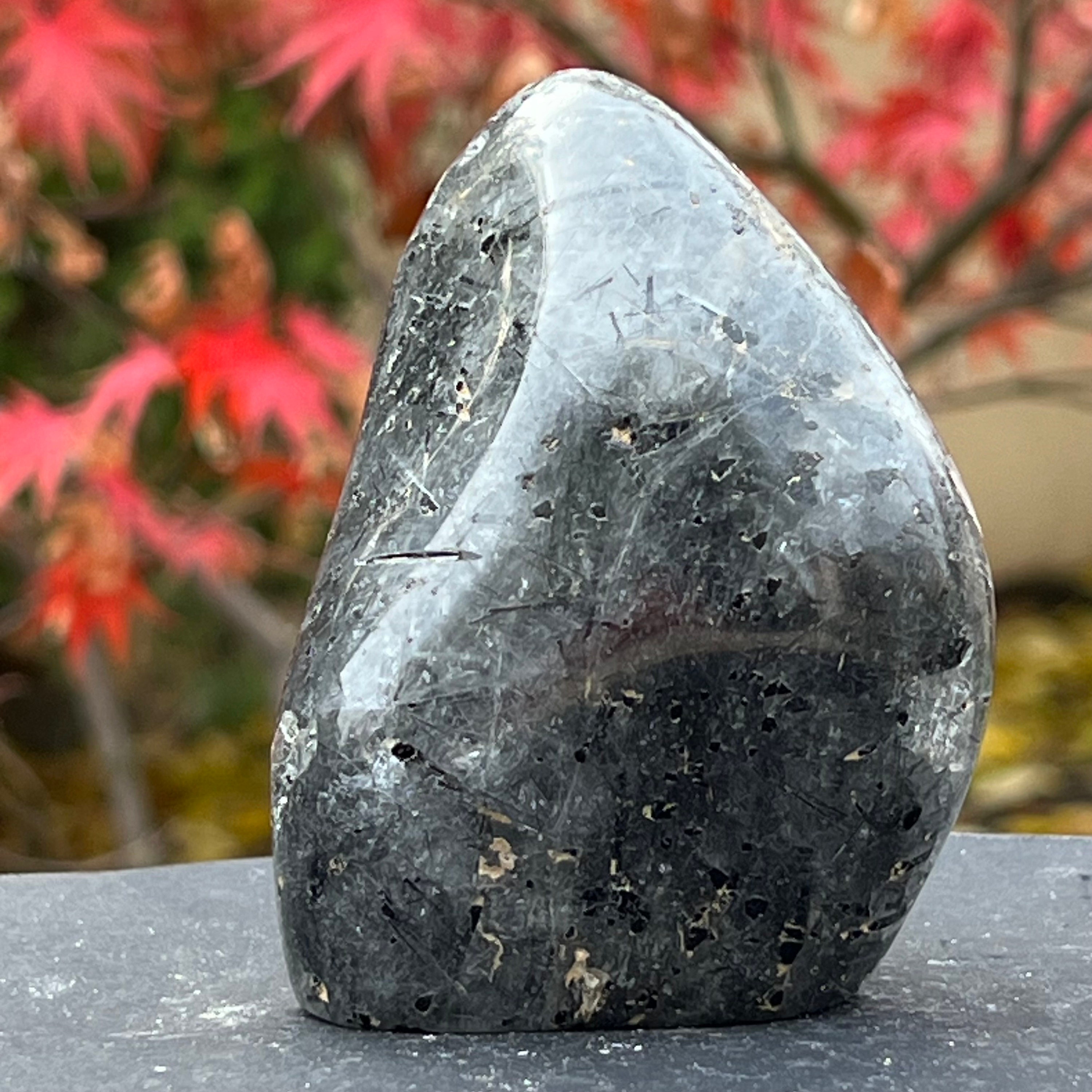 Large Black Tourmaline in Quartz Freeform from Madagascar - Etsy