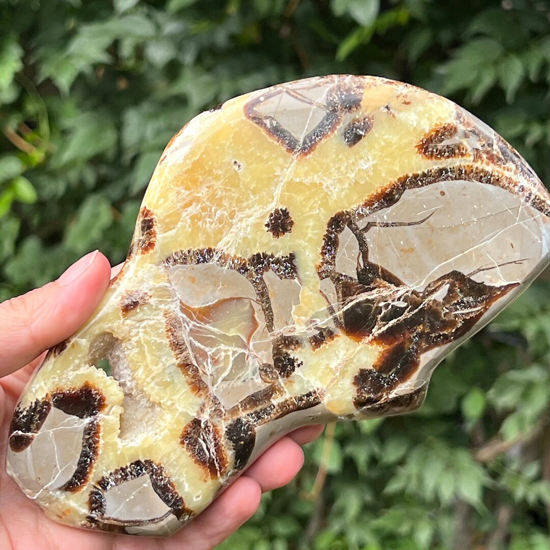 17.5 Cm Large Septarian Slab From Madagascar Mineral Specimen, Model 2 ...