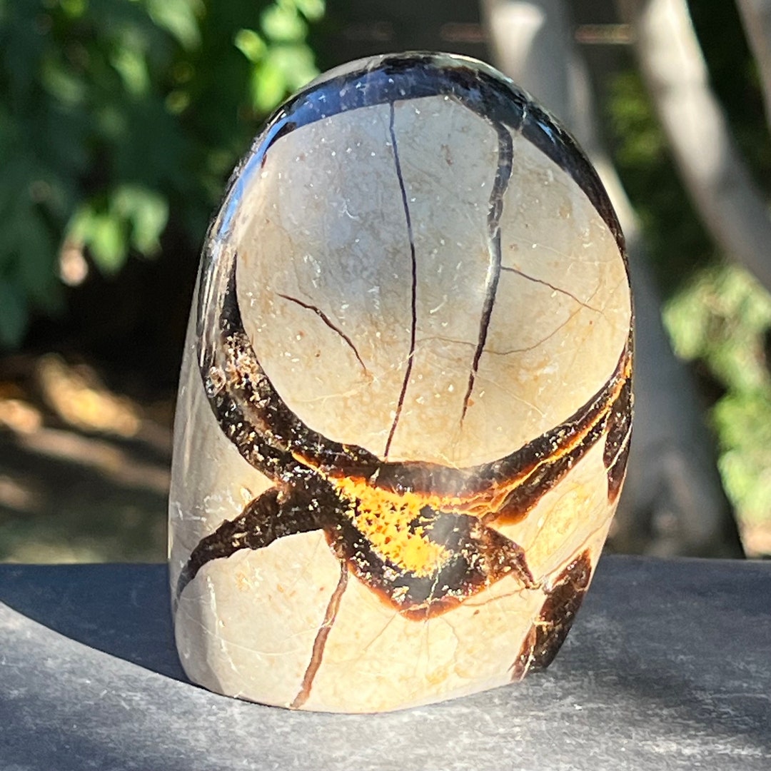Large Septarian Crystal Freeform From Madagascar Mineral Specimen ...