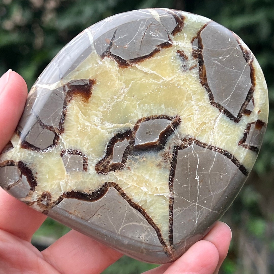 9 Cm Large Septarian Slab From Madagascar Mineral Specimen, Model 5 ...