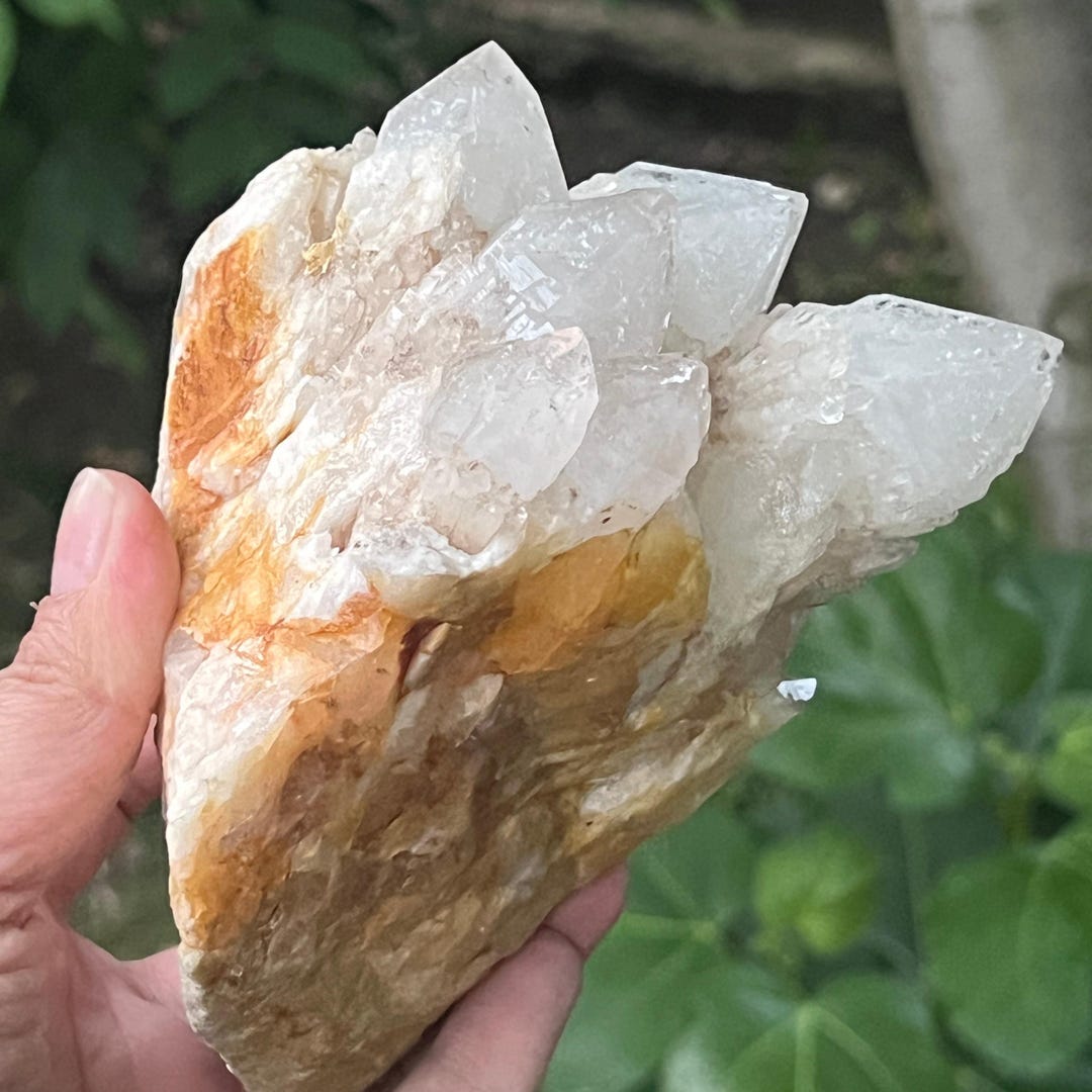 Madagascar Pineapple Quartz Cluster Model 16 - Collector Specimen ...