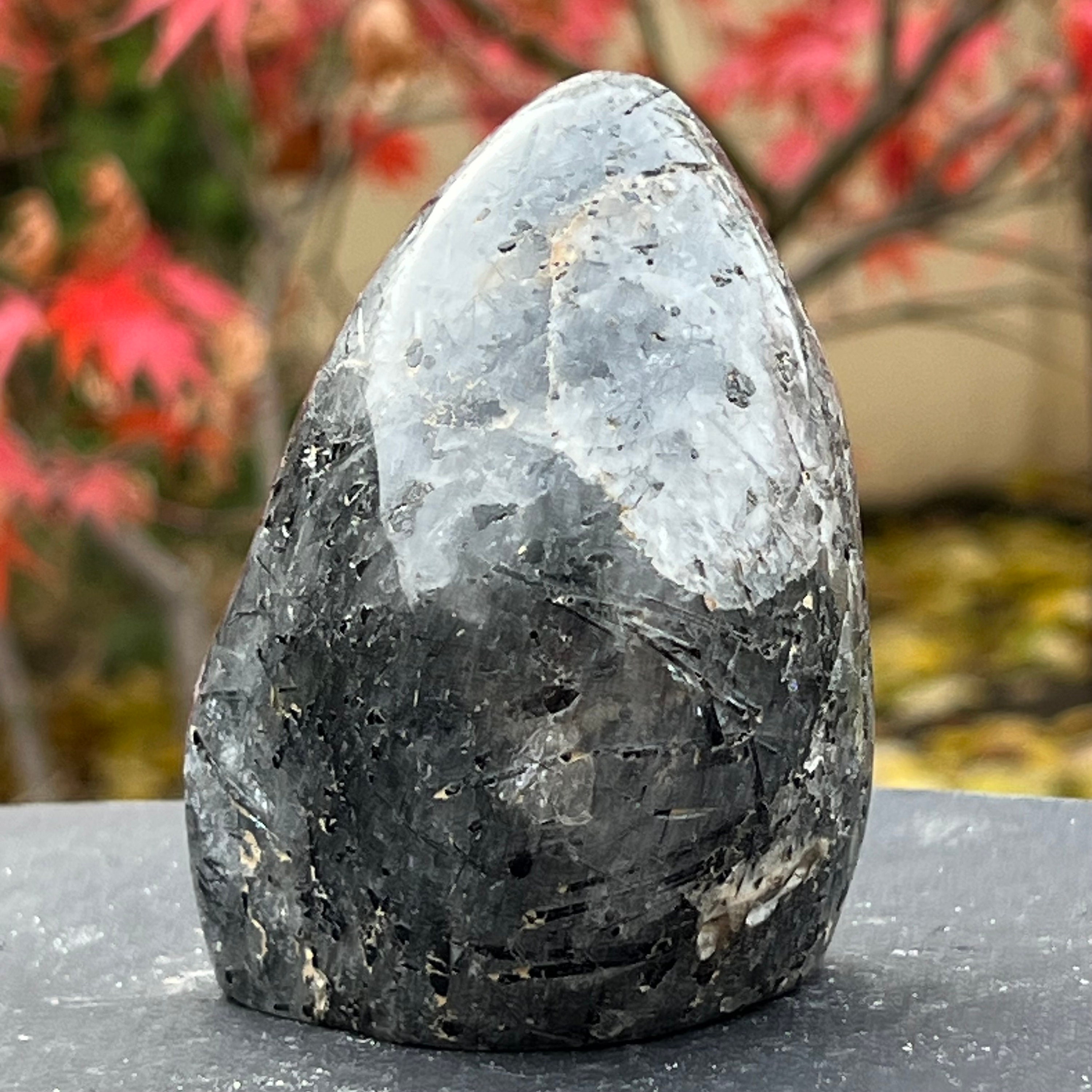 Large Black Tourmaline in Quartz Freeform from Madagascar - Etsy
