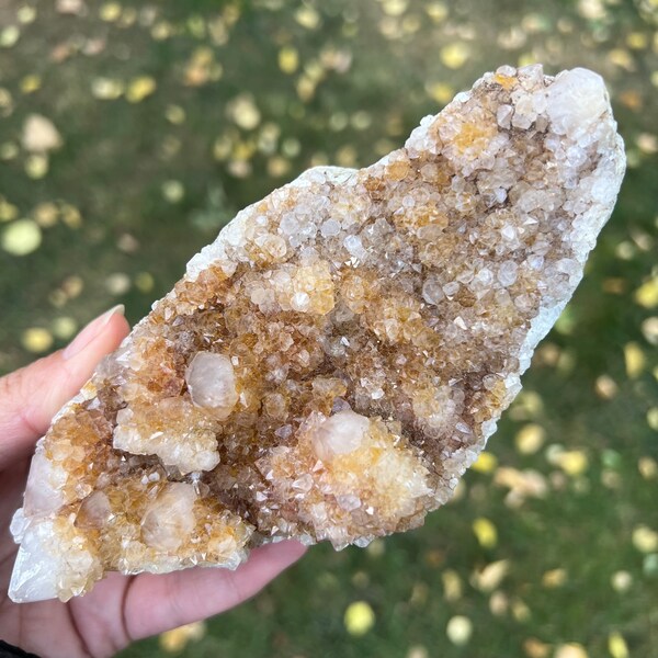 Cactus Quartz - Etsy