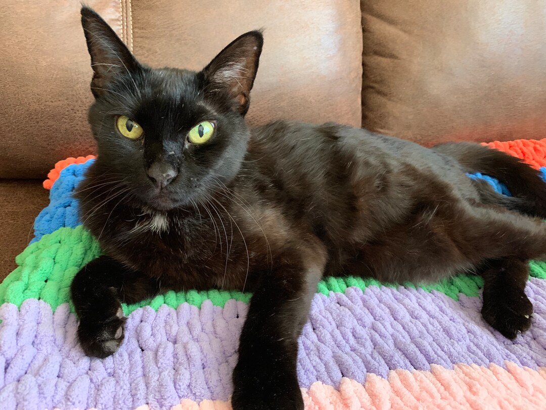 Plush, Super-soft Cat Mats - Etsy