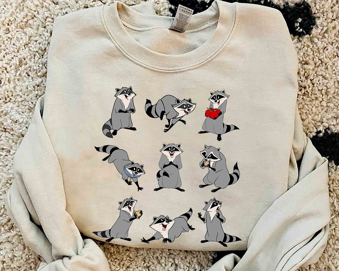 Disney Meeko Pose Racoon Graphic T-shirt, Disney Pocahontas T-shirt ...