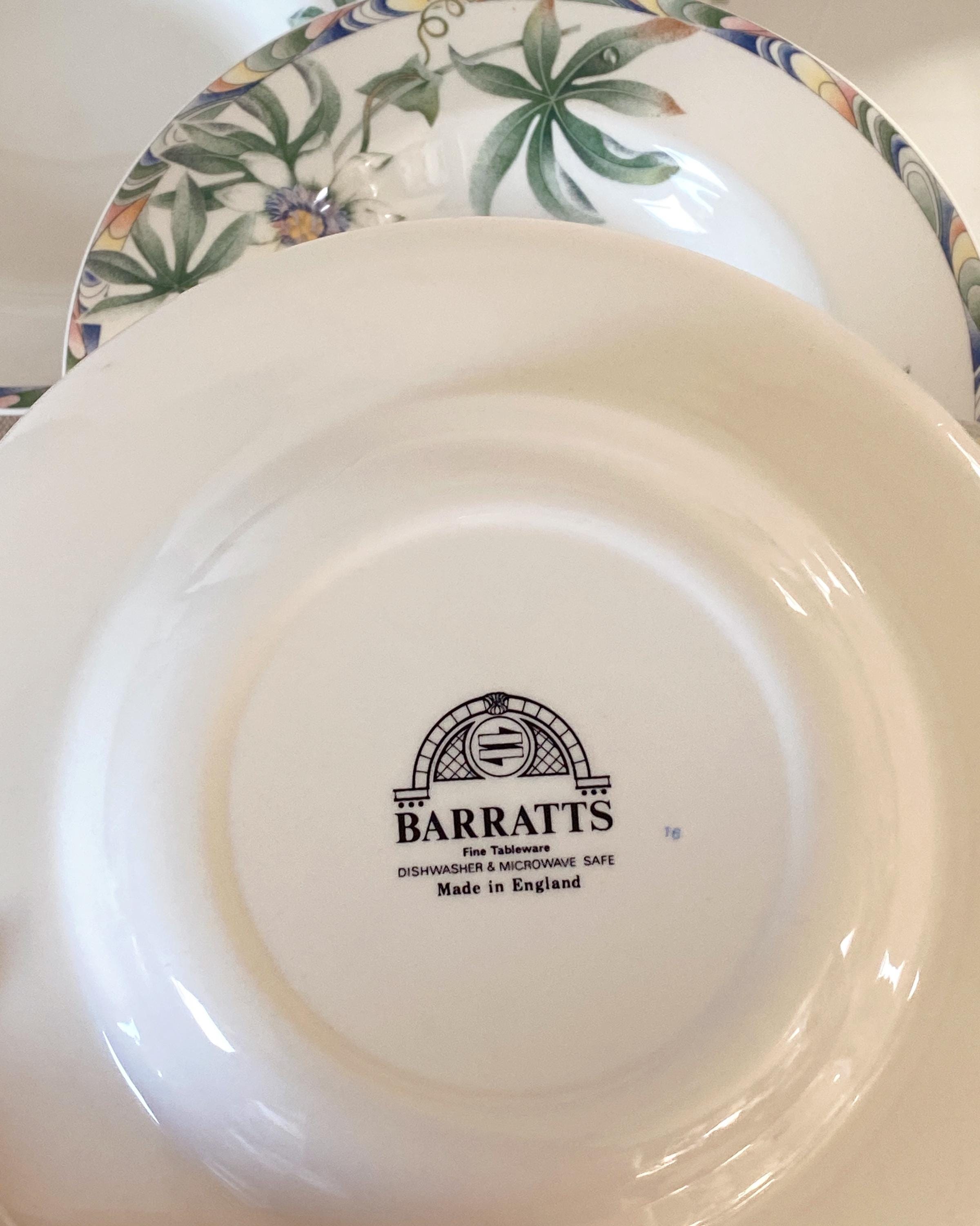 Vintage Barratts England Exotic Fruit Soup Plate Set of 6, English ...
