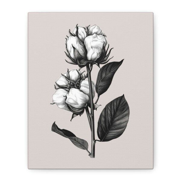 Cotton Boll Art - Etsy