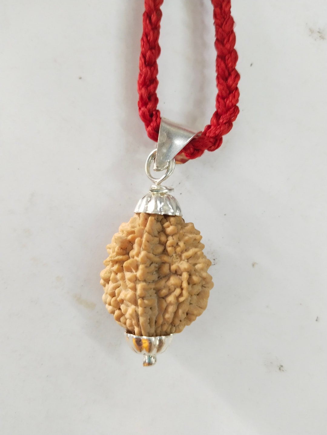 2 Mukhi Rudraksha / Two Face Rudraksh Java Bead Lab Certified 14 - 16 ...