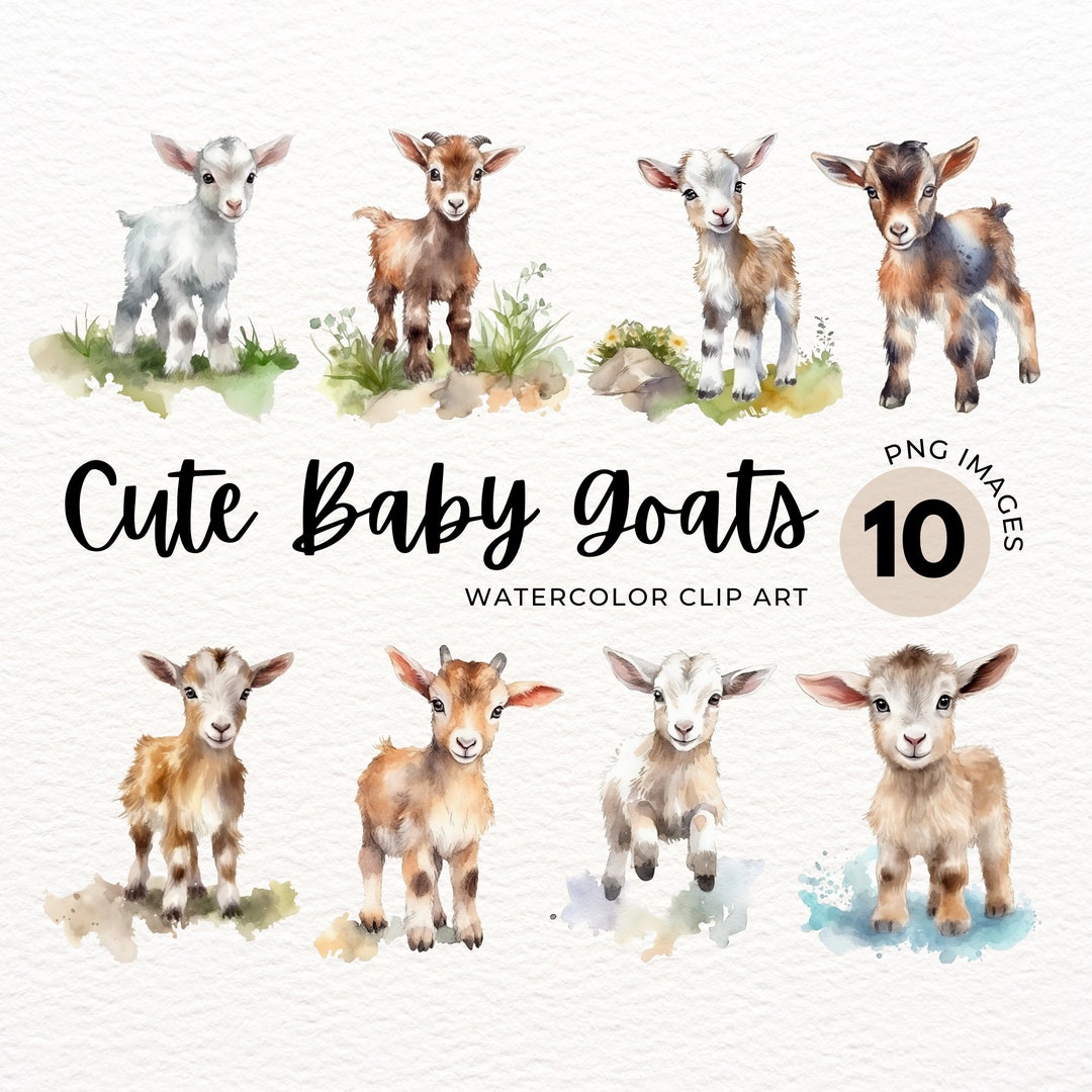 Watercolor Baby Goat Clipart: Farm Animal Pngs, Nursery Art (commercial ...