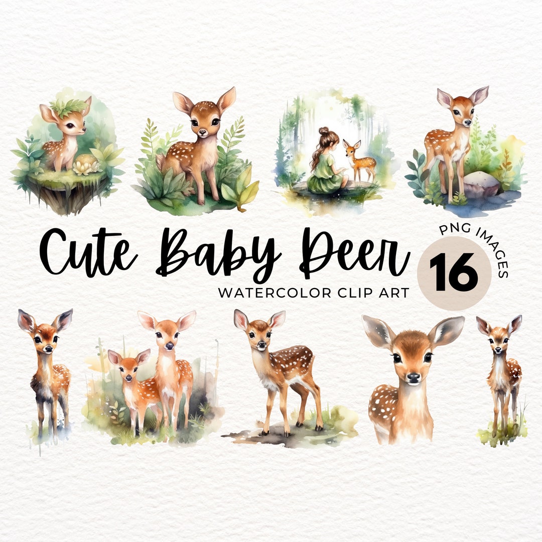 Baby Deer Watercolor Clipart Bundle: Woodland PNG Images (digital ...