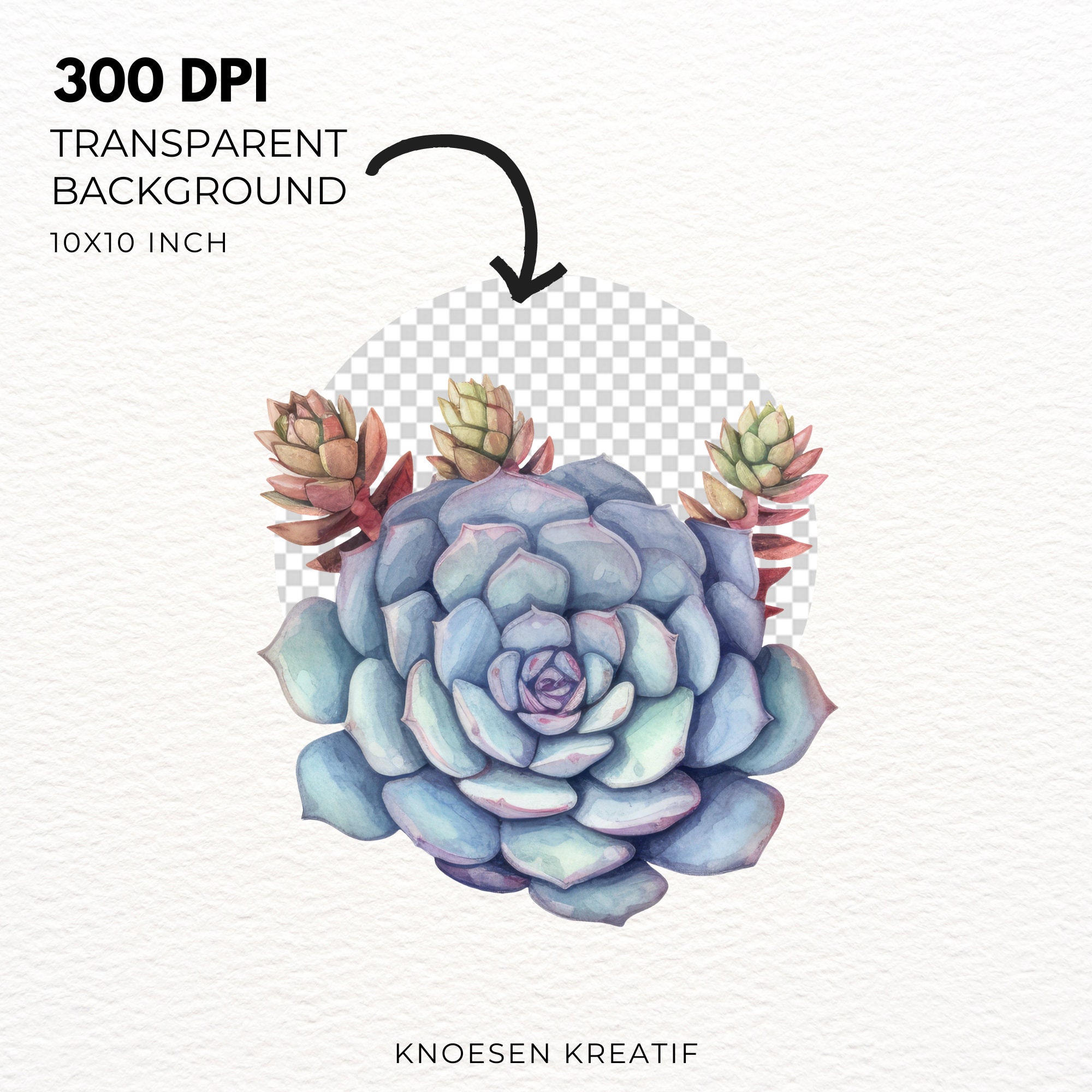 Watercolor Succulent PNG Succulent Clipart Bundle Floral PNG Flower ...
