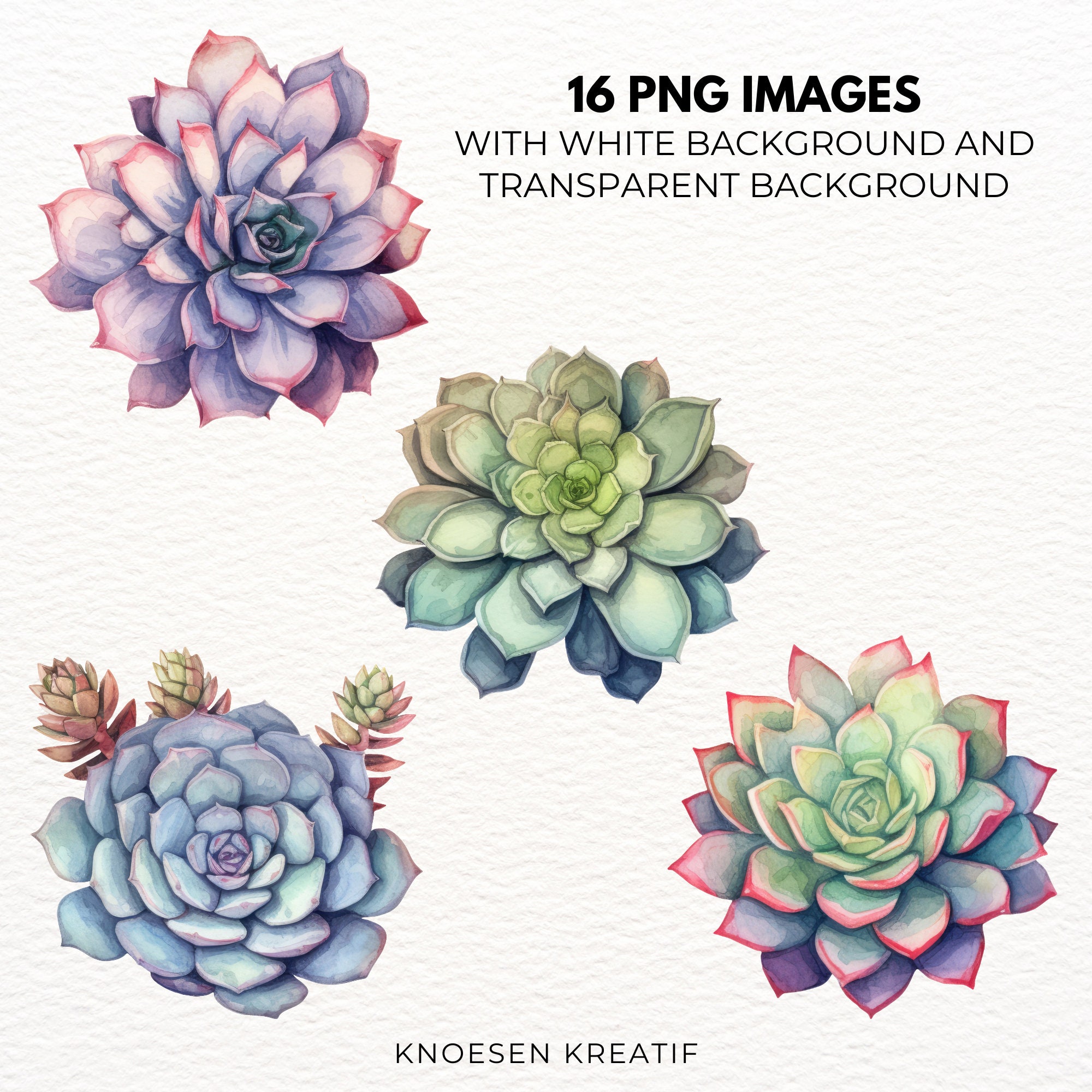 Watercolor Succulent PNG Succulent Clipart Bundle Floral PNG Flower ...