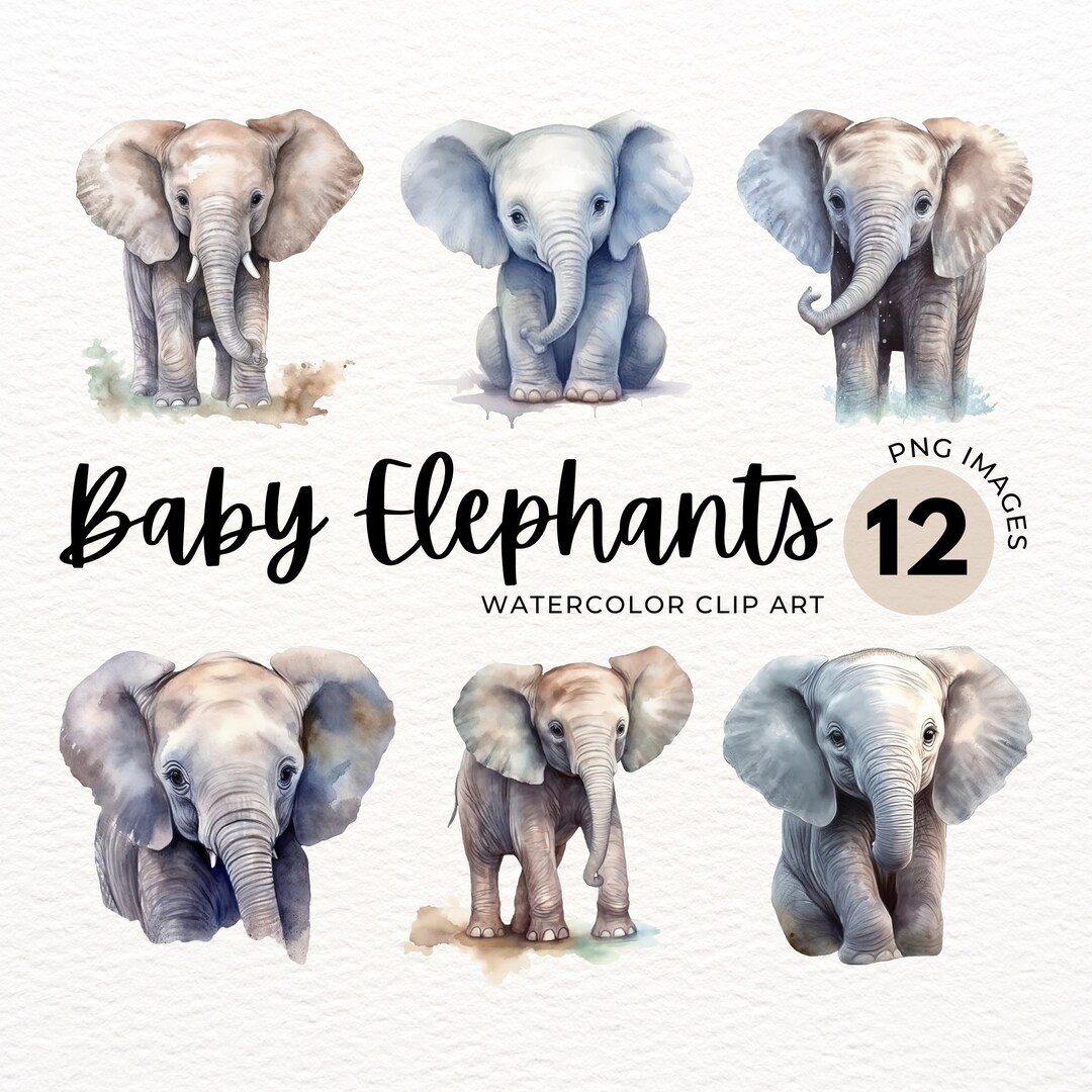 Watercolor Baby Elephant Clipart: Nursery Decor PNG (digital Download ...