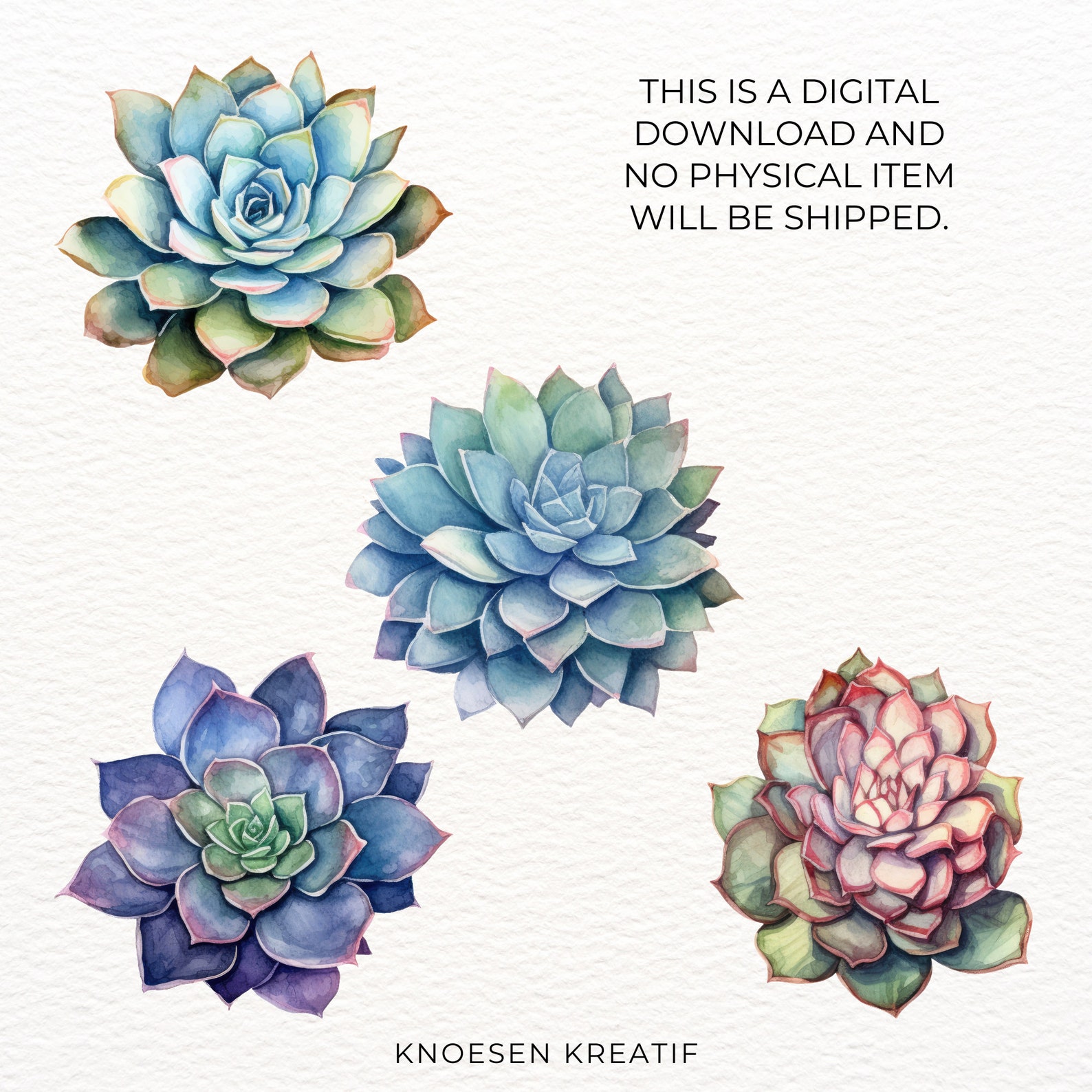 Watercolor Succulent Clipart Bundle: 16 Floral PNG Images (digital ...