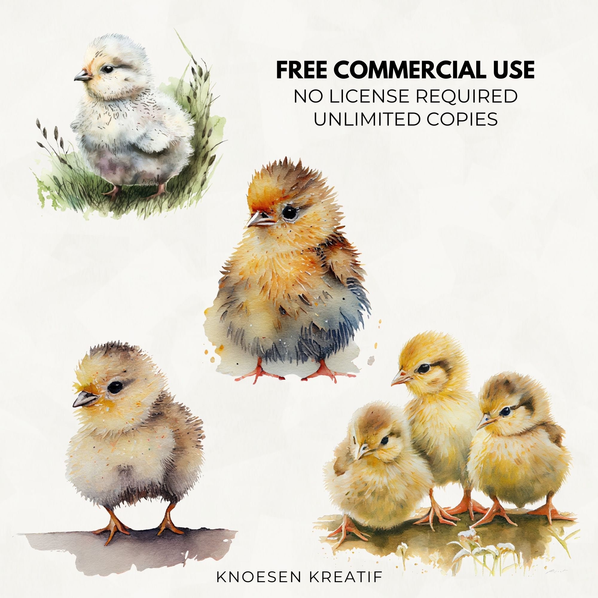 Watercolor Baby Chicken Clipart: Farm Animal PNG Set (digital Download ...