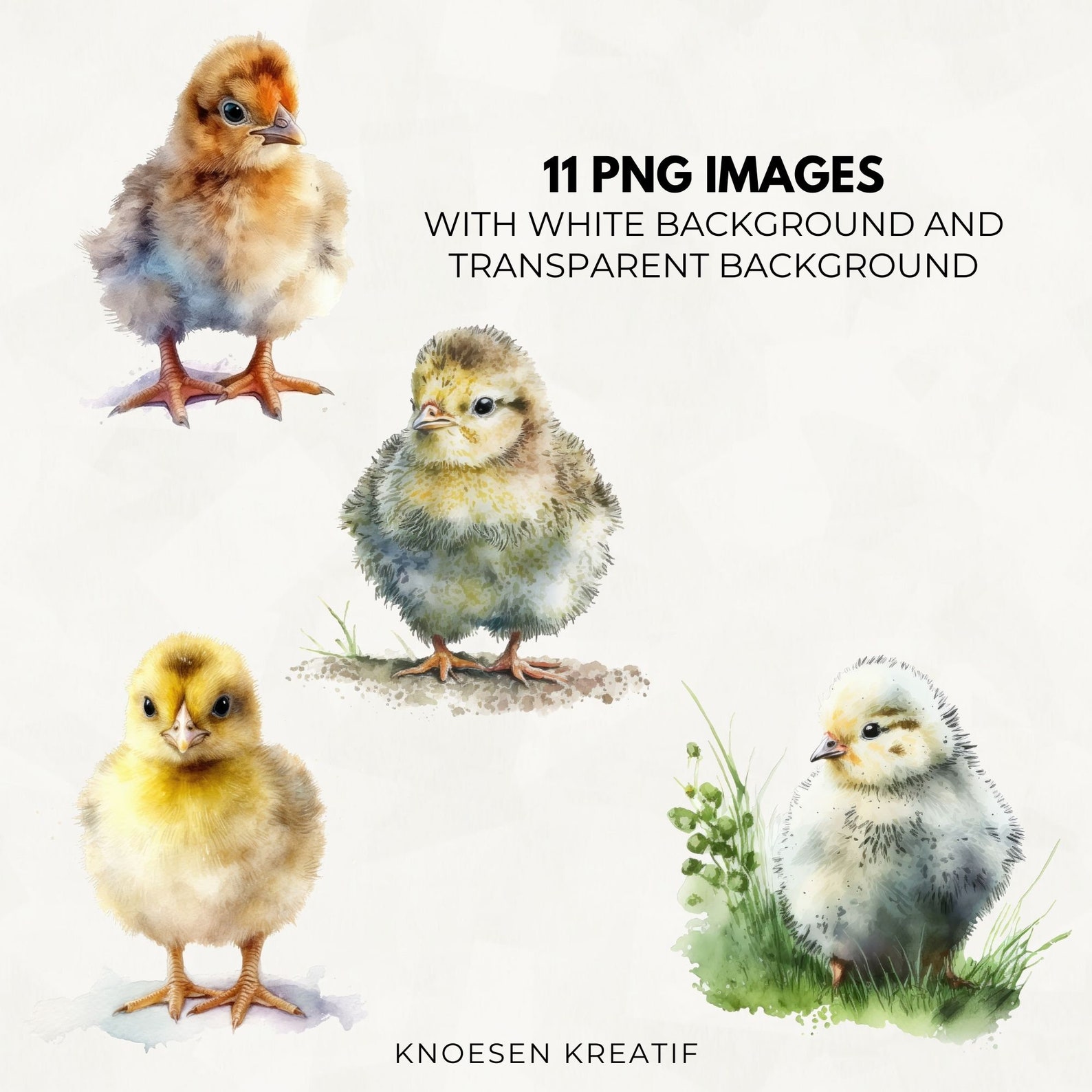 Watercolor Baby Chicken Clipart: Farm Animal PNG Set (digital Download ...