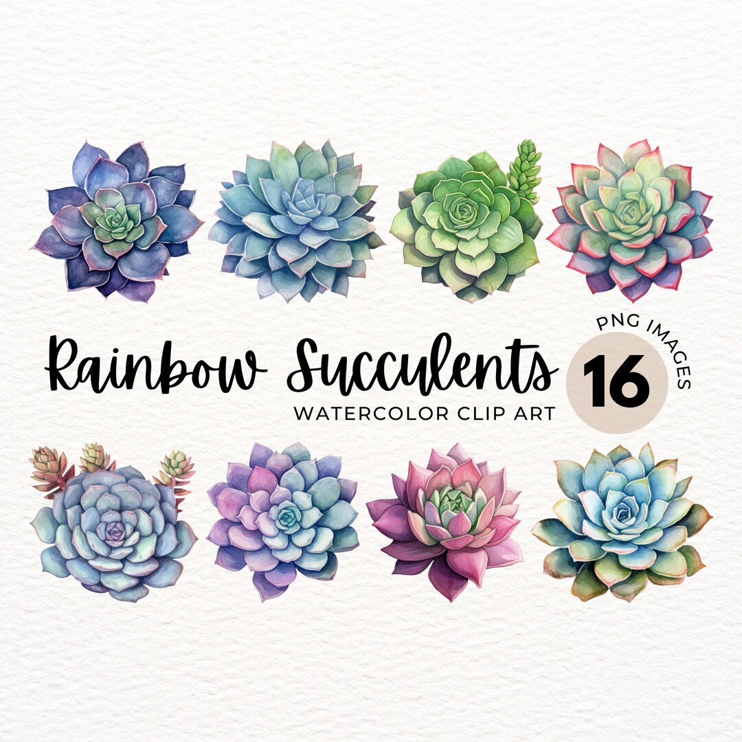 Watercolor Succulent PNG | Succulent Clipart Bundle | Floral PNG ...
