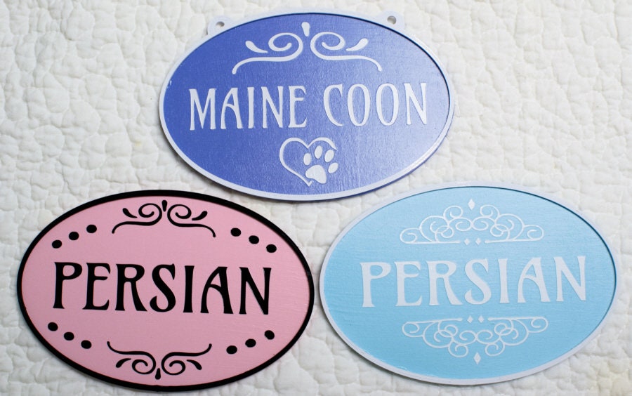 Cat Breed Sign, Cat Sign, Breed Sign, Cat Breed, Cat Show Sign, Cage ...