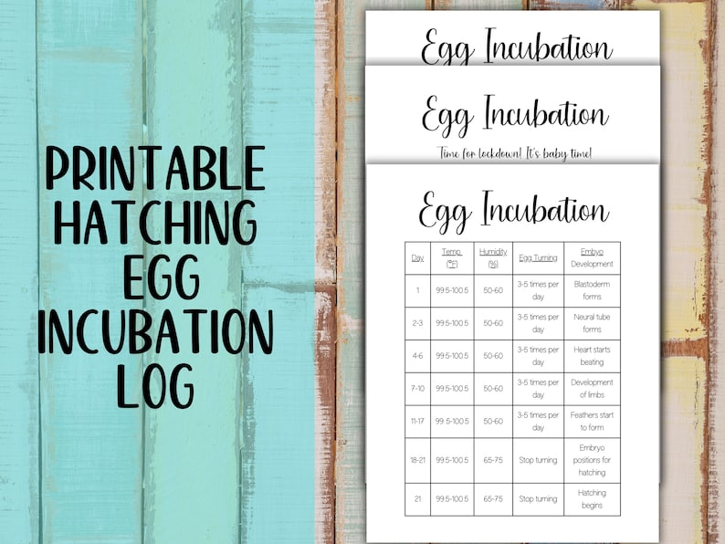 Printable Chicken Egg Incubation Calendar, Incubation Log, Incubation ...