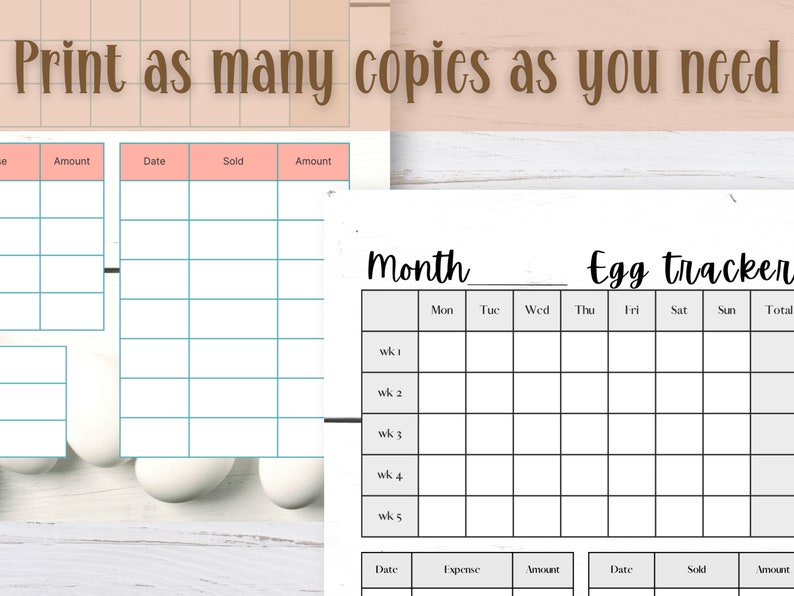Monthly Chicken Egg Production Tracker, Chicken Egg Log, Printable Egg ...