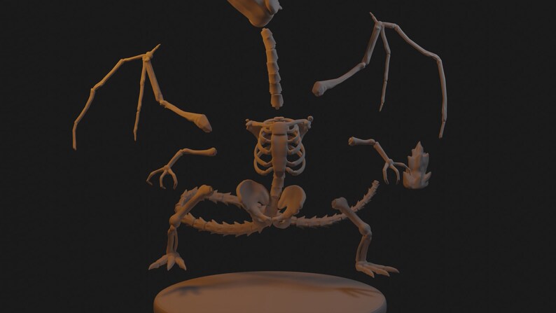 Charizard, Charizard, Pokémon Skeleton, Pokémon, Pokemon,3d Printed ...