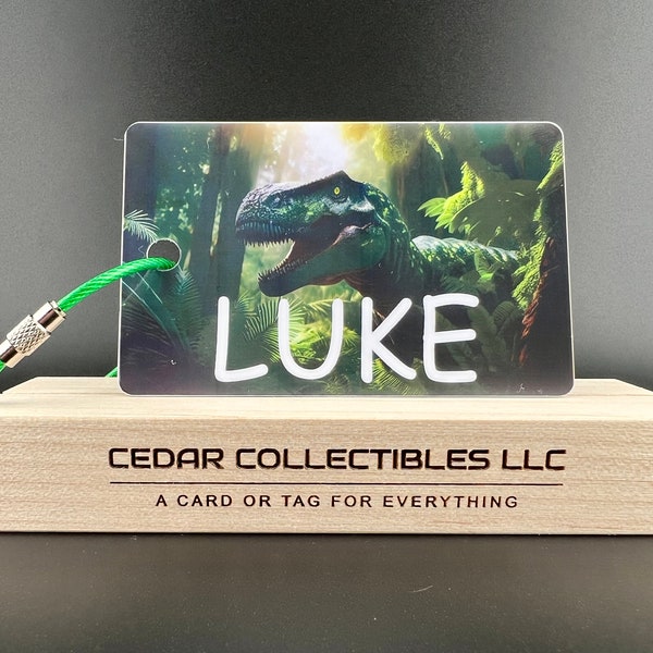 Dinosaur Name Tags - Etsy