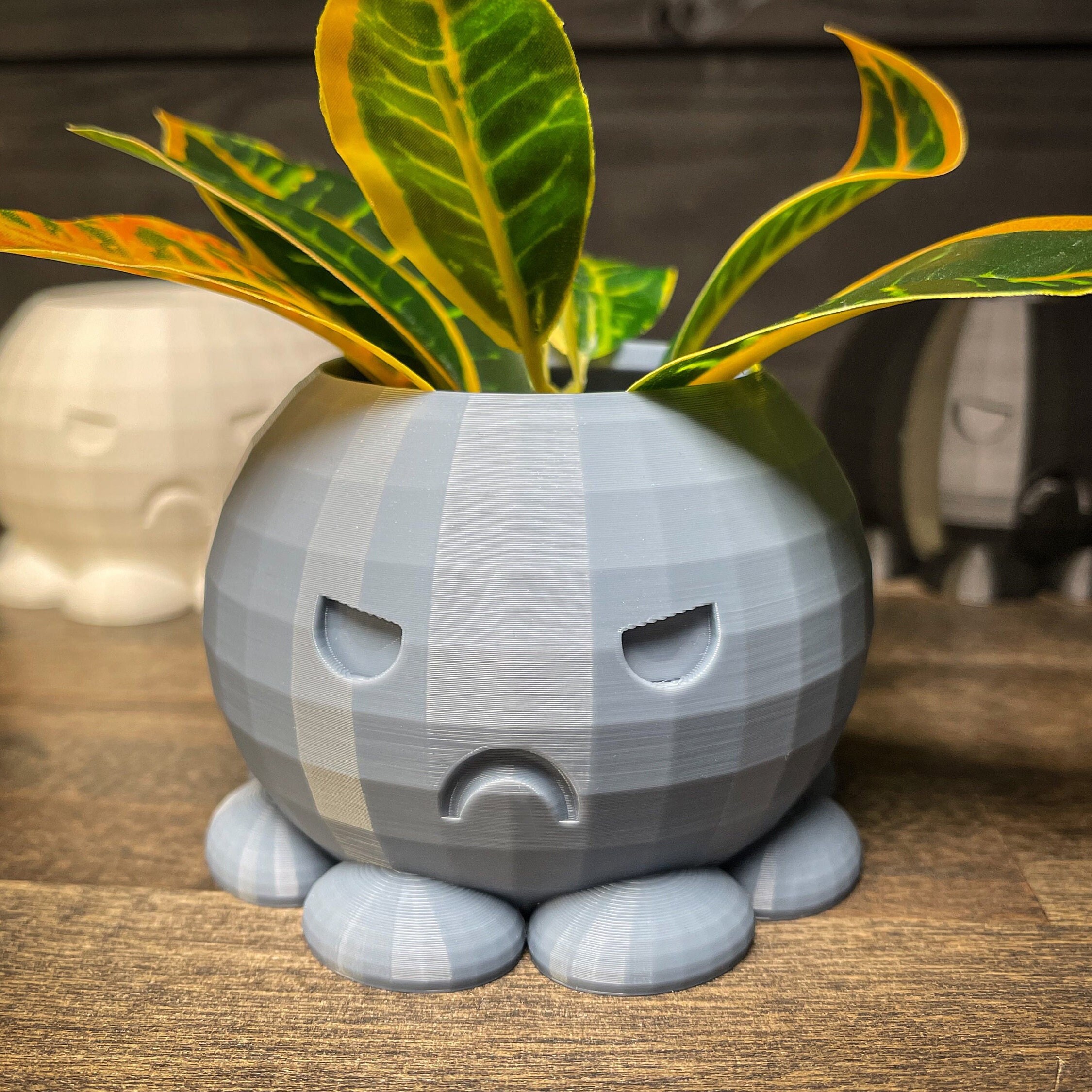 Angry Octopus 3D Printed Planter - Etsy