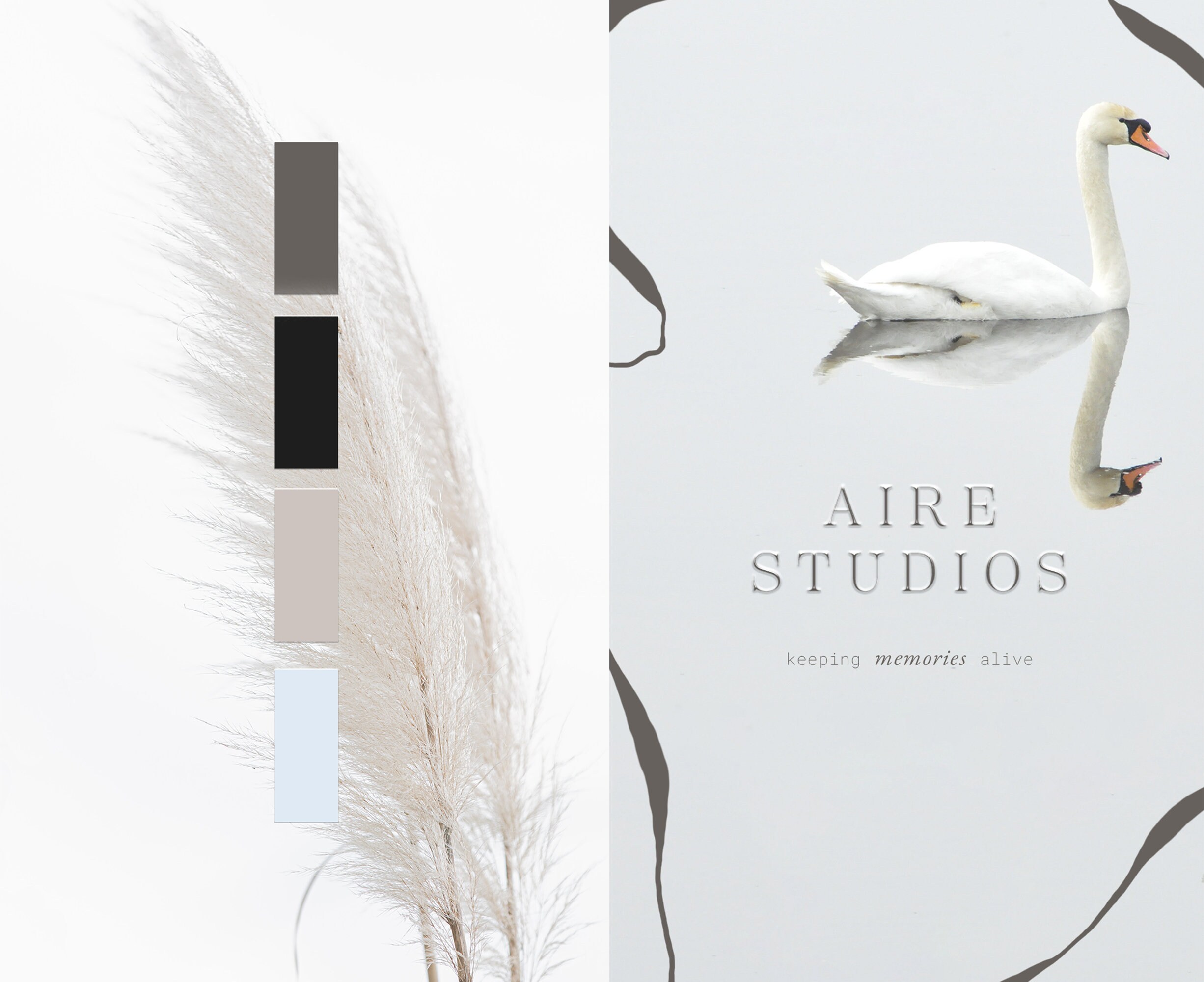Customizable Brand Identity for Luxury Businesses | Affordable, High ...