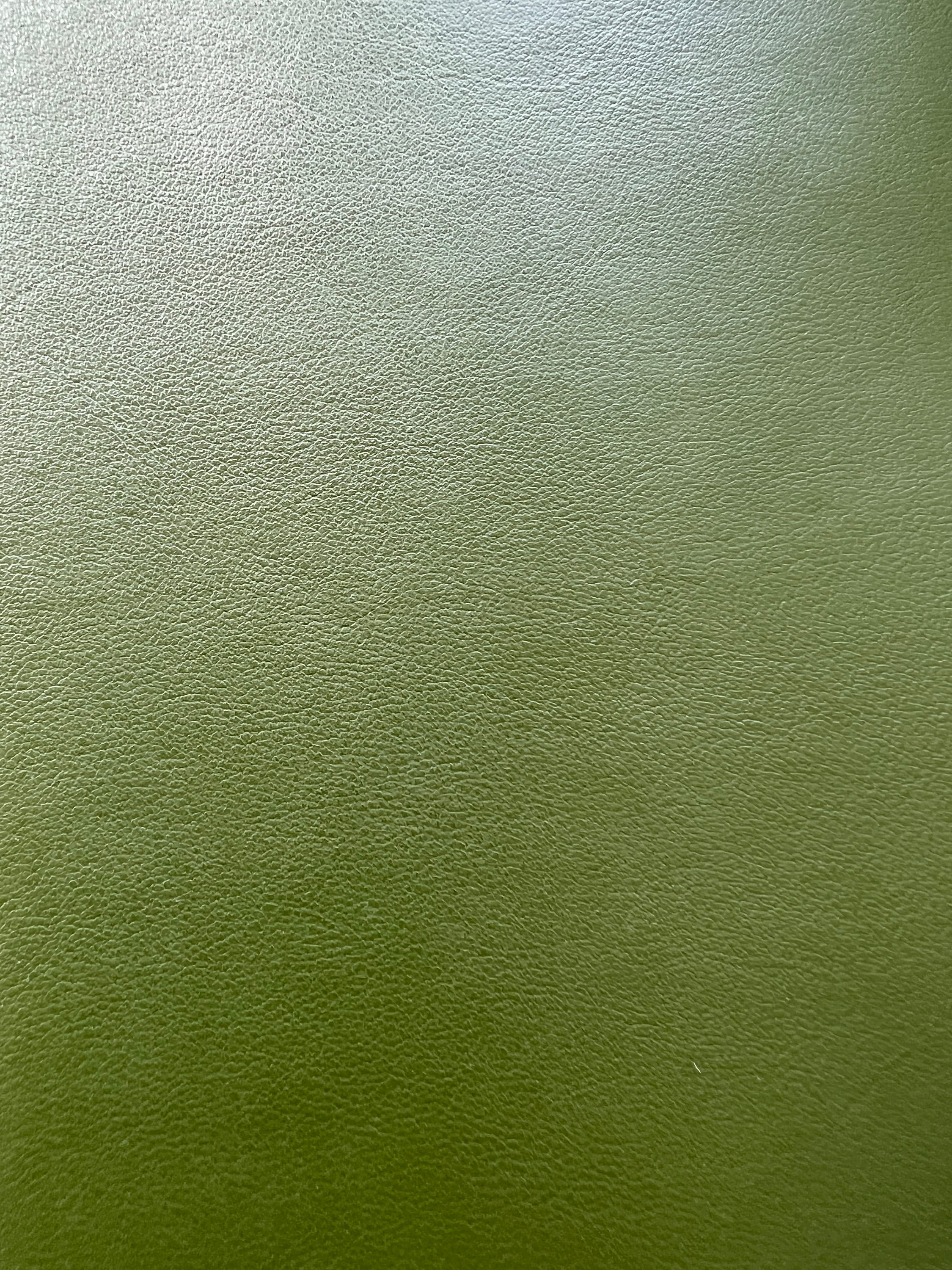 Vegan Cactus Leather From Desserto / Cactus Leather Green - Etsy