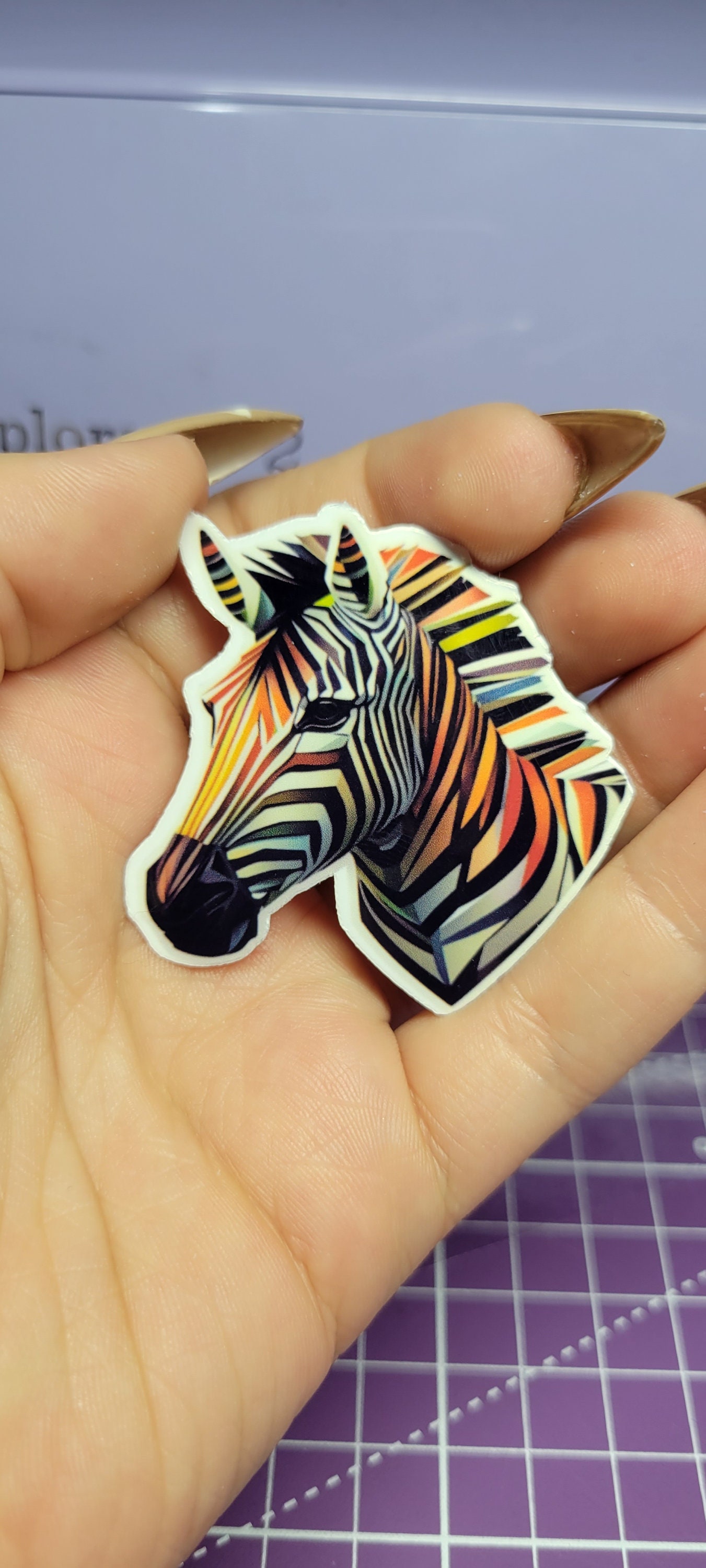 Colorful Rainbow Zebra Sticker Holographic Vinyl Sticker - Etsy
