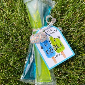 Ice Pop Party Favor Tag I Downloadable and Editable I SVG, PNG, JPG ...