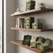 Battery Storage Army / Military Box for Batteries in Olive / Camouflage ...