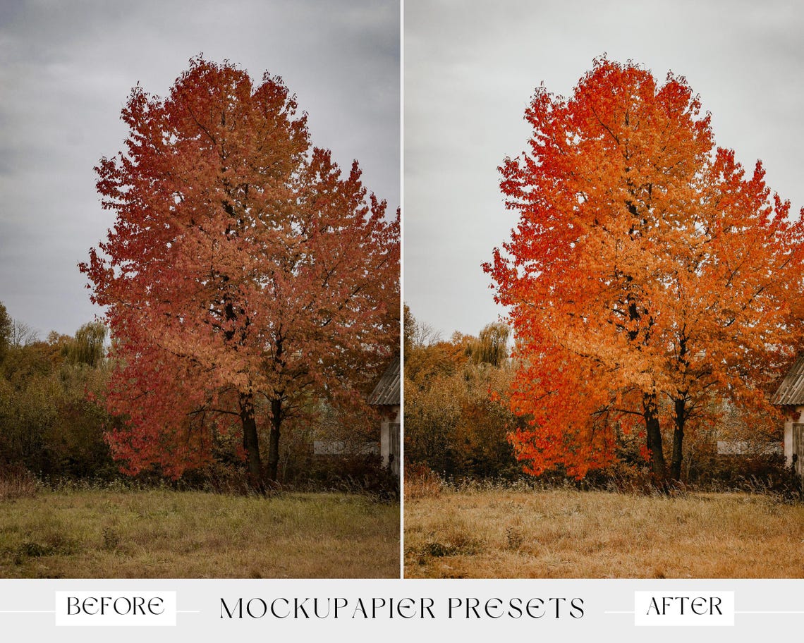 Autumn Presets, Fall Lightroom Presets, Brown, Orange, Photo Filters ...