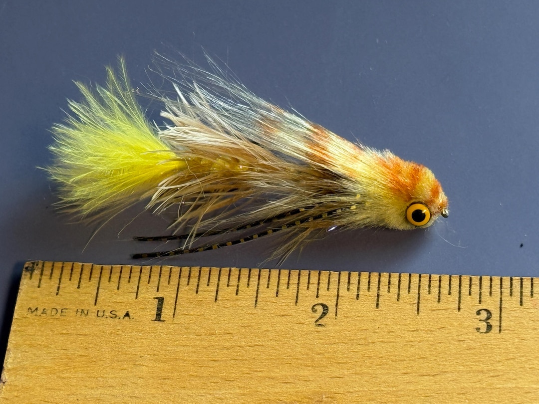 Baby Gonga Streamer - 2 PACK - Etsy