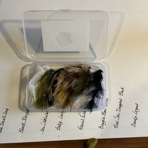 8 Articulated Streamers, Fly Box Included - Etsy