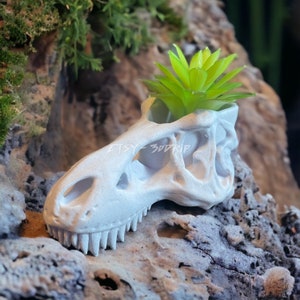 T-rex Dinosaur Fossil Planter Tyrannosaurus Skull Flower Pot , Garden ...