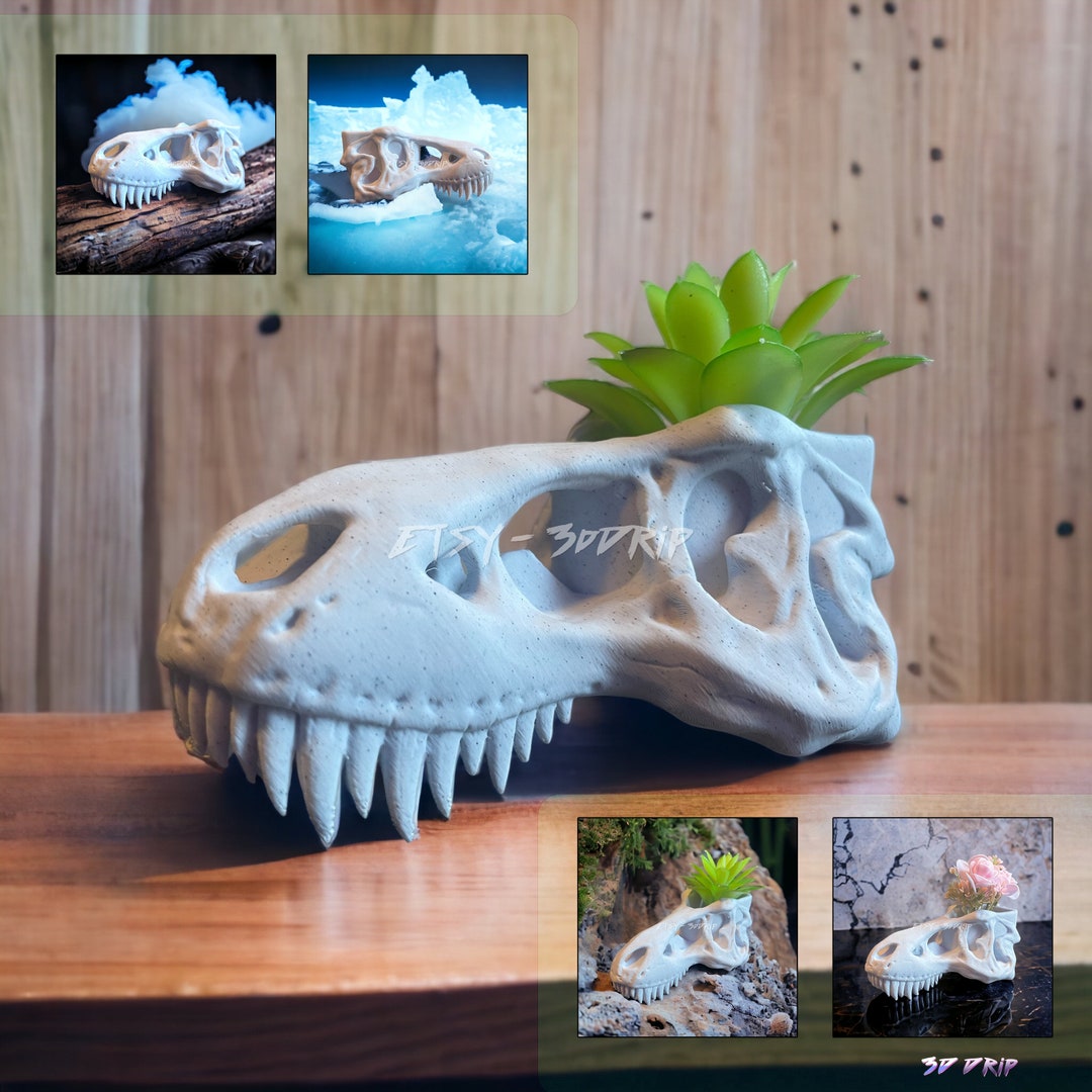 T-rex Dinosaur Fossil Planter Tyrannosaurus Skull Flower Pot , Garden ...