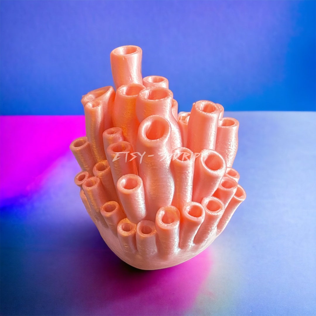 Sea Coral Vase Beach Themed Flower Pot Beautiful Succulent Planter ...