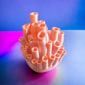 Sea Coral Vase Beach Themed Flower Pot Beautiful Succulent Planter ...